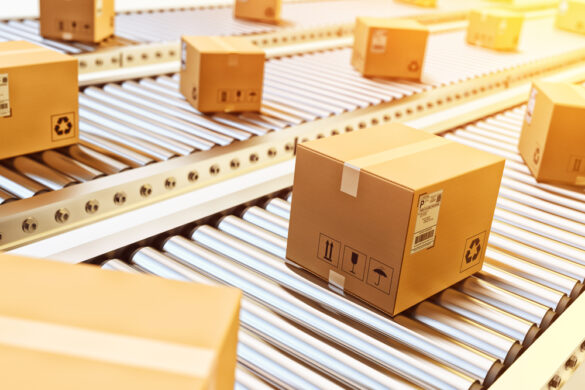 Sendungsstatus: "Processed in the parcel center of origin"